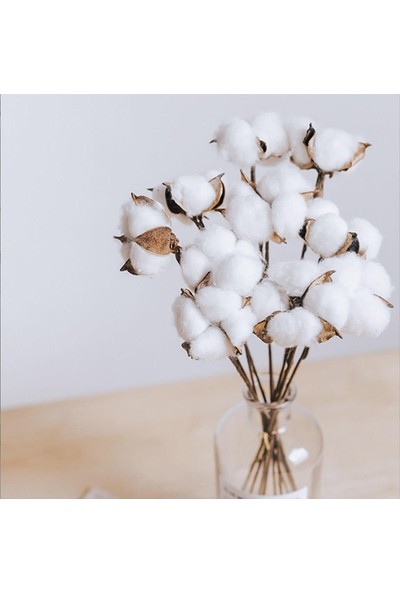VE-AL Yapay Pamuk Dalları 10'lu VE-AL Yapay Pamuk Dalları 10'lu