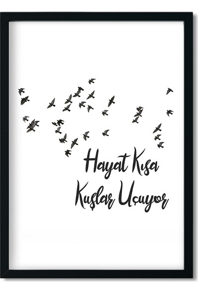 Bihayret Hayat Kısa Çerçeveli Poster Tablo Bihayret Hayat Kısa Çerçeveli Poster Tablo