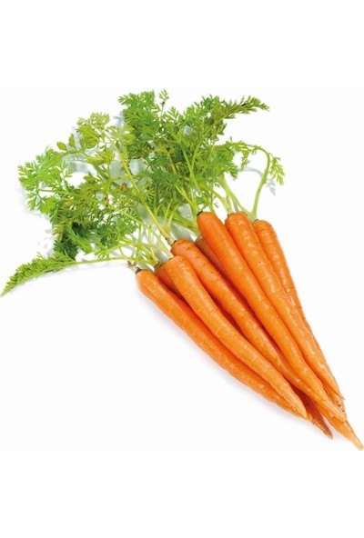 Mutlu Sebzeler Mini Havuç (1 Paket)