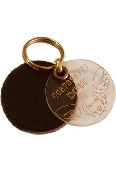 Mg Labrador Temalı İsimlik