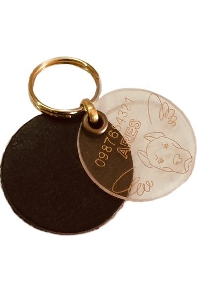 Mg Dogo Argenti̇no Temalı İsimlik