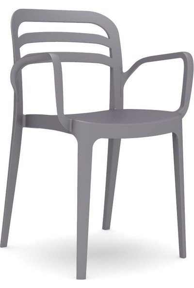 Novussi Aspendos Koltuk 6 Adet Novussi Aspendos Koltuk 6 Adet