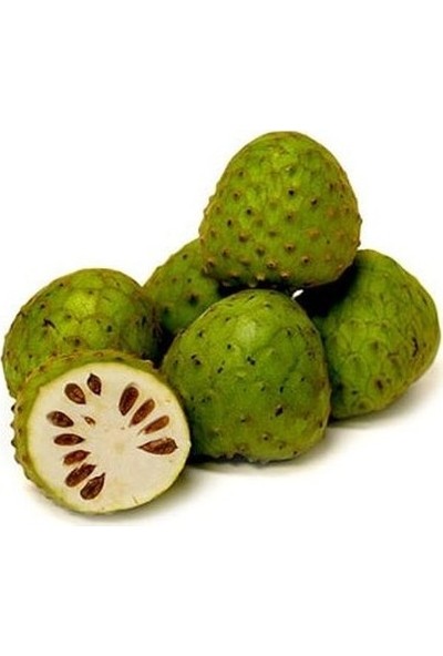 Bahçe Life Annona Cherymoya Sugar Meyvesi̇ Tohumu + Çi̇Mlendi̇Rme Seti̇