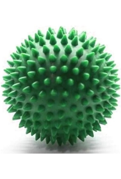 Case Dikenli Masaj Topu Duyu Uyarıcı Top Masaj Top Msd El Egzersiz Case Dikenli Masaj Topu Duyu Uyarıcı Top Masaj Top Msd El Egzersiz