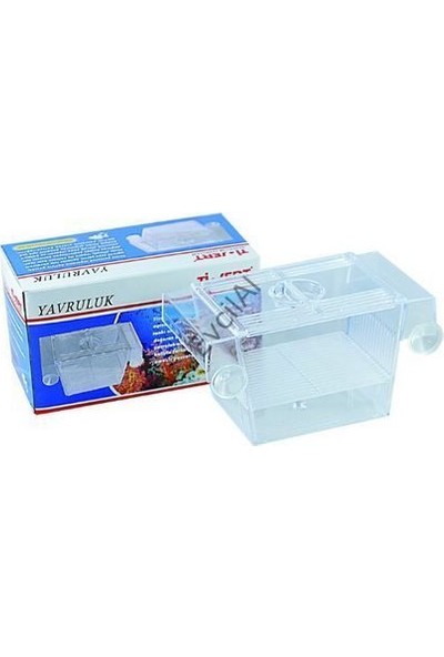 Ti-Sert Tekli Küçük Boy Yavruluk