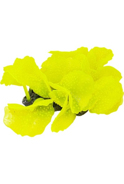 Petgarden Akvaryum Dekoru 12.5X10X8 Cm