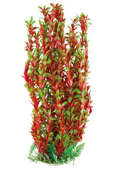 Aquatic-Plants Yeşil-Kırmızı Akvaryum Plastik Bitki 50 Cm Aquatic-Plants Yeşil-Kırmızı Akvaryum Plastik Bitki 50 Cm