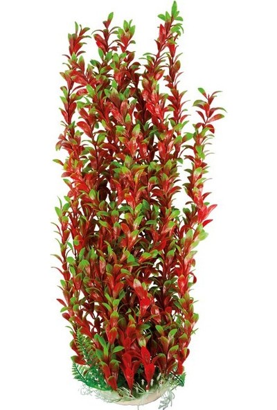 Aquatic-Plants Yeşil-Kırmızı Akvaryum Plastik Bitki 65 Cm Aquatic-Plants Yeşil-Kırmızı Akvaryum Plastik Bitki 65 Cm