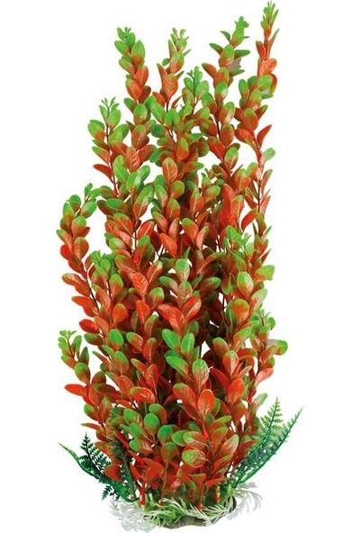 Aquatic-Plants Yeşil-Turuncu Akvaryum Plastik Bitki 43 Cm