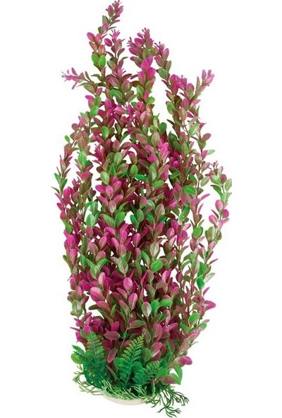 Aquatic-Plants Pembe-Yeşil Akvaryum Plastik Bitki 60 Cm Aquatic-Plants Pembe-Yeşil Akvaryum Plastik Bitki 60 Cm
