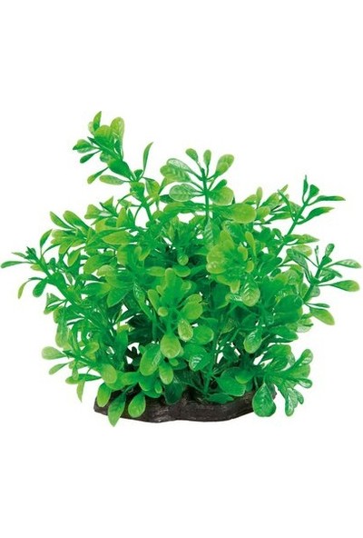 Aquatic-Plants Yeşil Akvaryum Plastik Bitki Aquatic-Plants Yeşil Akvaryum Plastik Bitki