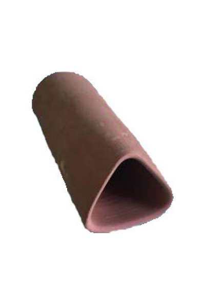 Birevcil Cüce Vatoz Yavruluğu Birevcil Cüce Vatoz Yavruluğu