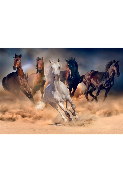 Nova Puzzle 2000 Parça Toz Duman Koşan Atlar Puzzle - 46002 Nova Puzzle 2000 Parça Toz Duman Koşan Atlar Puzzle - 46002