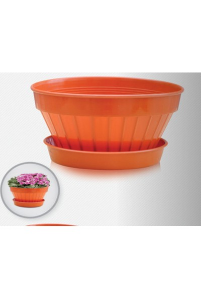 Serinova Büyük Menekşe Saksı S222