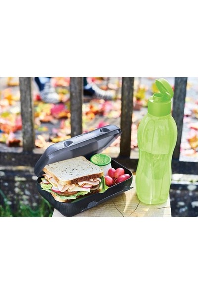 Tupperware Bölmeli Beslenme Kutusu Tupperware Bölmeli Beslenme Kutusu