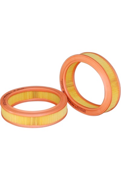 Gold Filter Hava Filtresi Renault R9-R11-R19 (1.4)