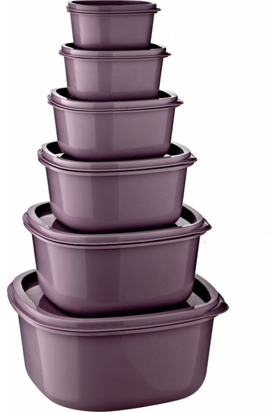 White & Begie Adela 6′Lı Saklama Kabı - Mürdüm