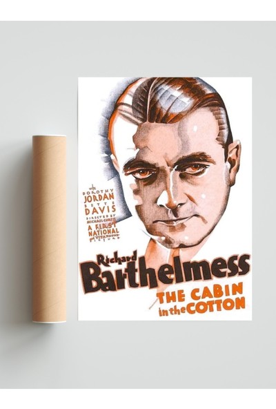 The Cabin In The Cotton Ingilizce Poster The Cabin In The Cotton Ingilizce Poster