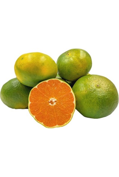 Sebze Meyve Dünyası Mandalina Yeşil (Kg) Sebze Meyve Dünyası Mandalina Yeşil (Kg)