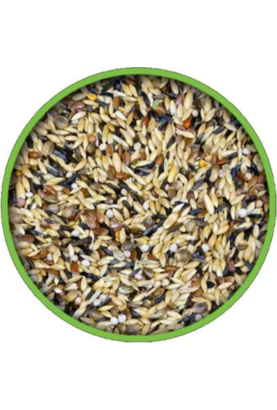 Ünallar Tarım Karışık Kanarya Yemi 5 Kg Kanarya Kuşu Yemi