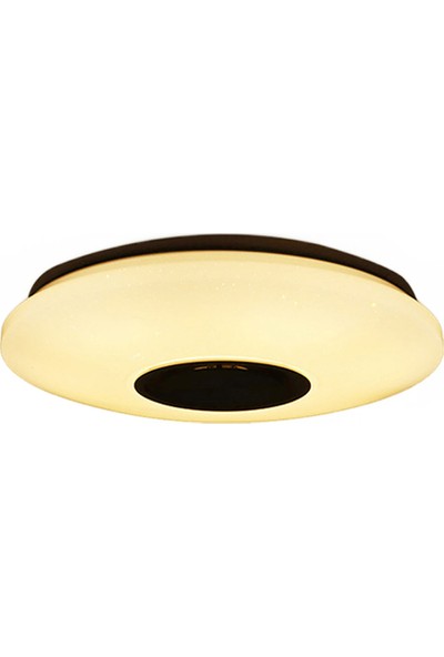 Lambalar Akıllı LED Tavan Işık 32 W 40.5 cm Tavan Lambası Bluetooth Hoparlör Rgb Renk Sıcaklığı Lambalar Akıllı LED Tavan Işık 32 W 40.5 cm Tavan Lambası Bluetooth Hoparlör Rgb Renk Sıcaklığı