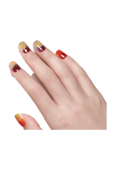 Herodargon Yeniden Kullanılabilir Takma Tırnak (Yurt Dışından)