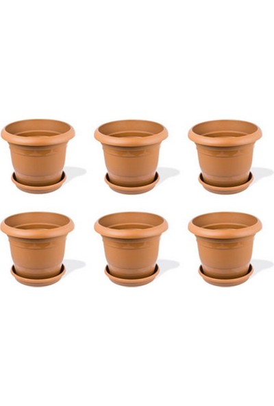 EminHome 6 Adet Toprak Görünümlü Plastik Saksı 15 cm EminHome 6 Adet Toprak Görünümlü Plastik Saksı 15 cm