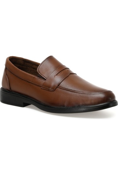 Salvano Owl 2pr Taba Erkek Makosen