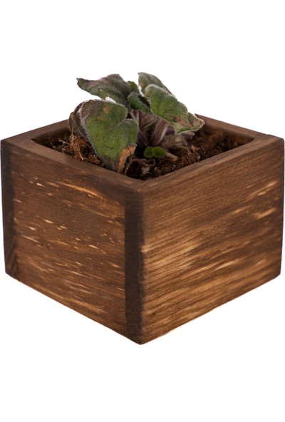 Dekotim Ahşap Saksı Kare Dekoratif Çiçeklik