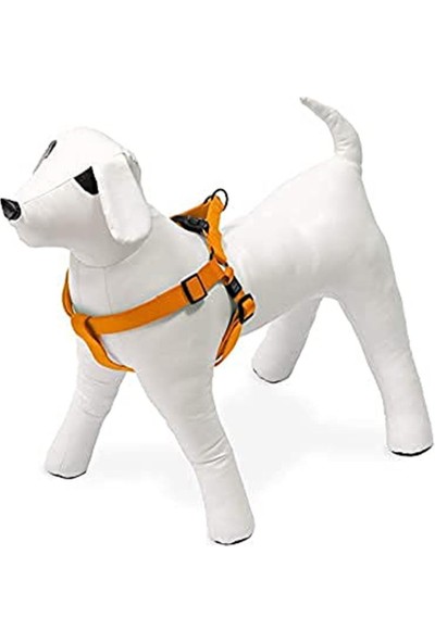 EKS Ticaret Karlie Kilitli Göğüs Tasma S 25-45CM Turuncu