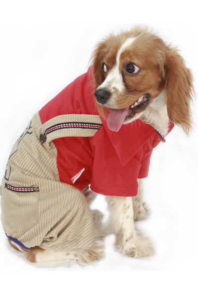 Nova Cool Dude Tulum Kedi Köpek Tulumu Kıyafeti Medium Nova Cool Dude Tulum Kedi Köpek Tulumu Kıyafeti Medium