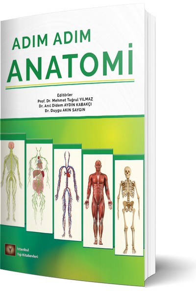Adım Adım Anatomi