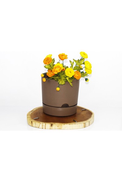 Eminhome Begonya Saksı 2'li 15 cm 1.8 Lt Eminhome Begonya Saksı 2'li 15 cm 1.8 Lt