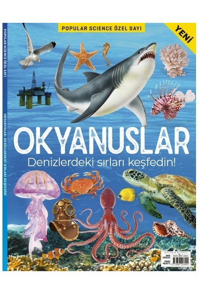 Okyanuslar