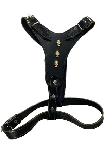 Sergen Pet Köpek Tasma