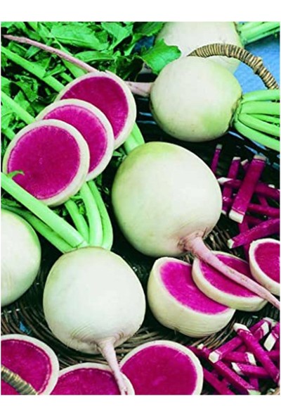 EKS Ticaret Erdem Garden Doğal Çin Turpu Tohum EKS Ticaret Erdem Garden Doğal Çin Turpu Tohum