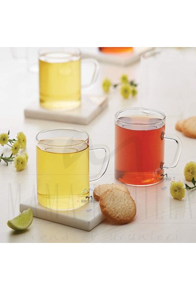 Navyada Home 3'lü Isıya Dayanıklı Termisil Bardak Kupa