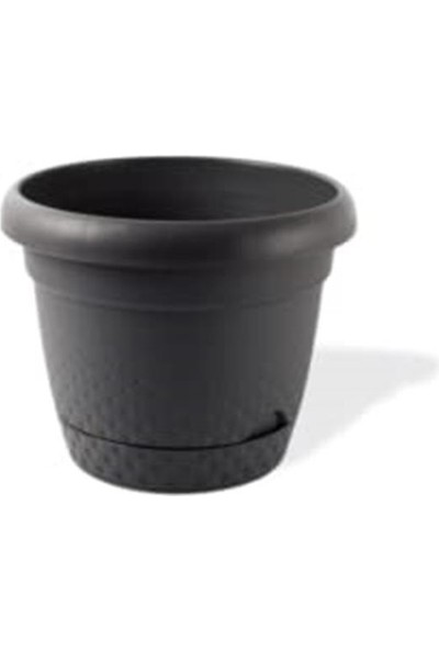 Zemus 2 No Inci Saksı