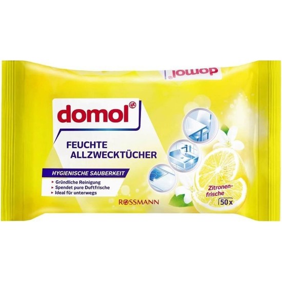 Rossmann Domol Fırın Izgara Temizleyici + Islak Temizlik Fiyatı