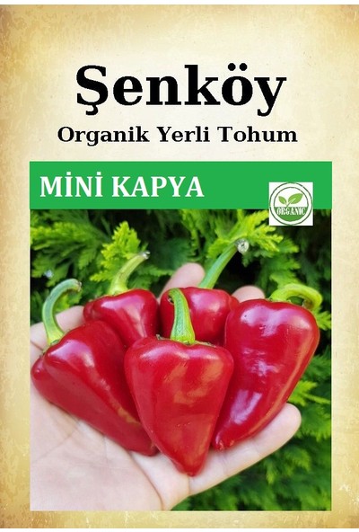 Şenköy Yerli Mini Kapya Biber Tohumu Doğal Ata Turşuluk Közlemelik Biber Tohumu Pakette 100 Adet Şenköy Yerli Mini Kapya Biber Tohumu Doğal Ata Turşuluk Közlemelik Biber Tohumu Pakette 100 Adet