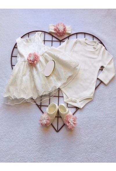 4'lü Kız Bebek Pembe Çiçekli Uzun Kollu Badi Elbise Set