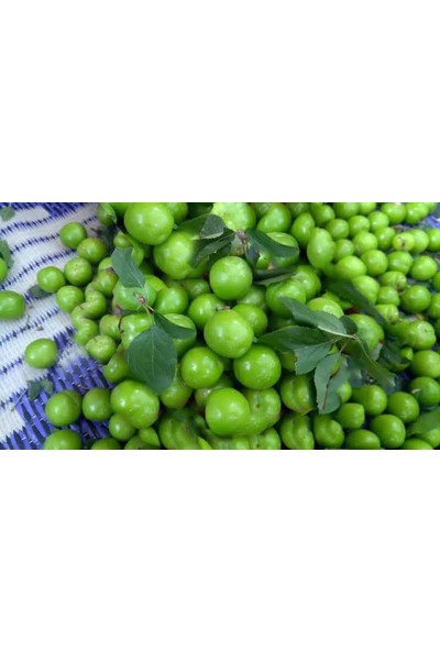 Hamile Marketim Taze Papaz (Can) Erik Sert Yeşil 400 gr Hamile Marketim Taze Papaz (Can) Erik Sert Yeşil 400 gr