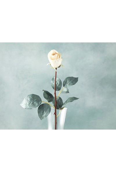 English Home Petit Roses Tek Dal Yapay Çiçek 50 cm Beyaz English Home Petit Roses Tek Dal Yapay Çiçek 50 cm Beyaz