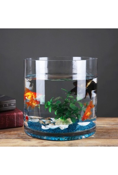 Hediyelik Silindir Japon Fanus Seti (2 Adet Japon +Fanus+Kum+Yem)