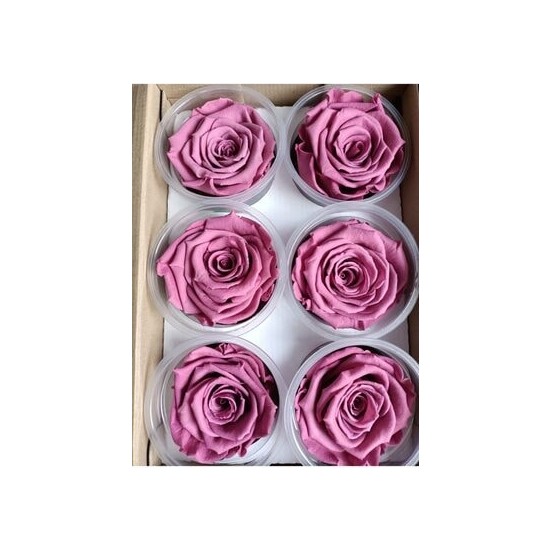 Pembe Solmayan Ekvator Gülü Fiyatı - Taksit Seçenekleri