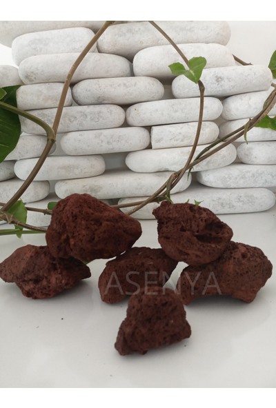 Asenya Akvaryum Taşı 1 Kg 5-10 Cm Akvaryum Dekor Taşı Teraryum Taşı Akvaryum Süsleme Taşı Akvaryum Pomzası Asenya Akvaryum Taşı 1 Kg 5-10 Cm Akvaryum Dekor Taşı Teraryum Taşı Akvaryum Süsleme Taşı Akvaryum Pomzası