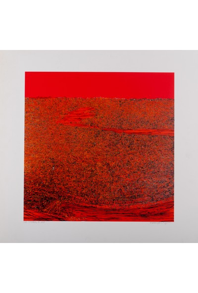 Devrim Erbil Edisyon Devrim Erbil Edisyon