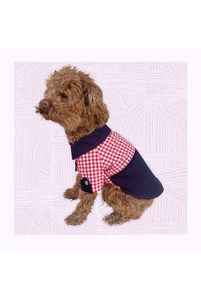 Aria Pet Butik Köpek Kedi Yazlık Konsept Gömlek Aria Pet Butik Köpek Kedi Yazlık Konsept Gömlek