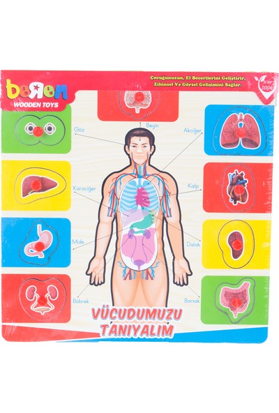 Beren Eğitici Puzzle Ahşap Vucudumu Tanıyalım BRN-2127 1275 Beren Eğitici Puzzle Ahşap Vucudumu Tanıyalım BRN-2127 1275