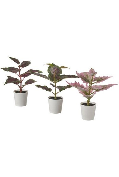 IKEA 3 Adet Yapay Mini Kadife Çiçeği Pembe Yapay Bitki IKEA 3 Adet Yapay Mini Kadife Çiçeği Pembe Yapay Bitki